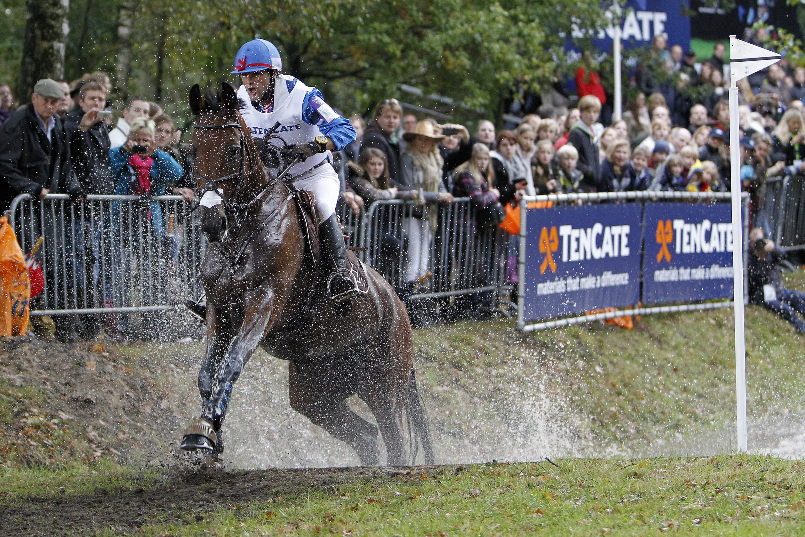 Hoe werkt het wedden op paarden? - VergelijkExpert.nl